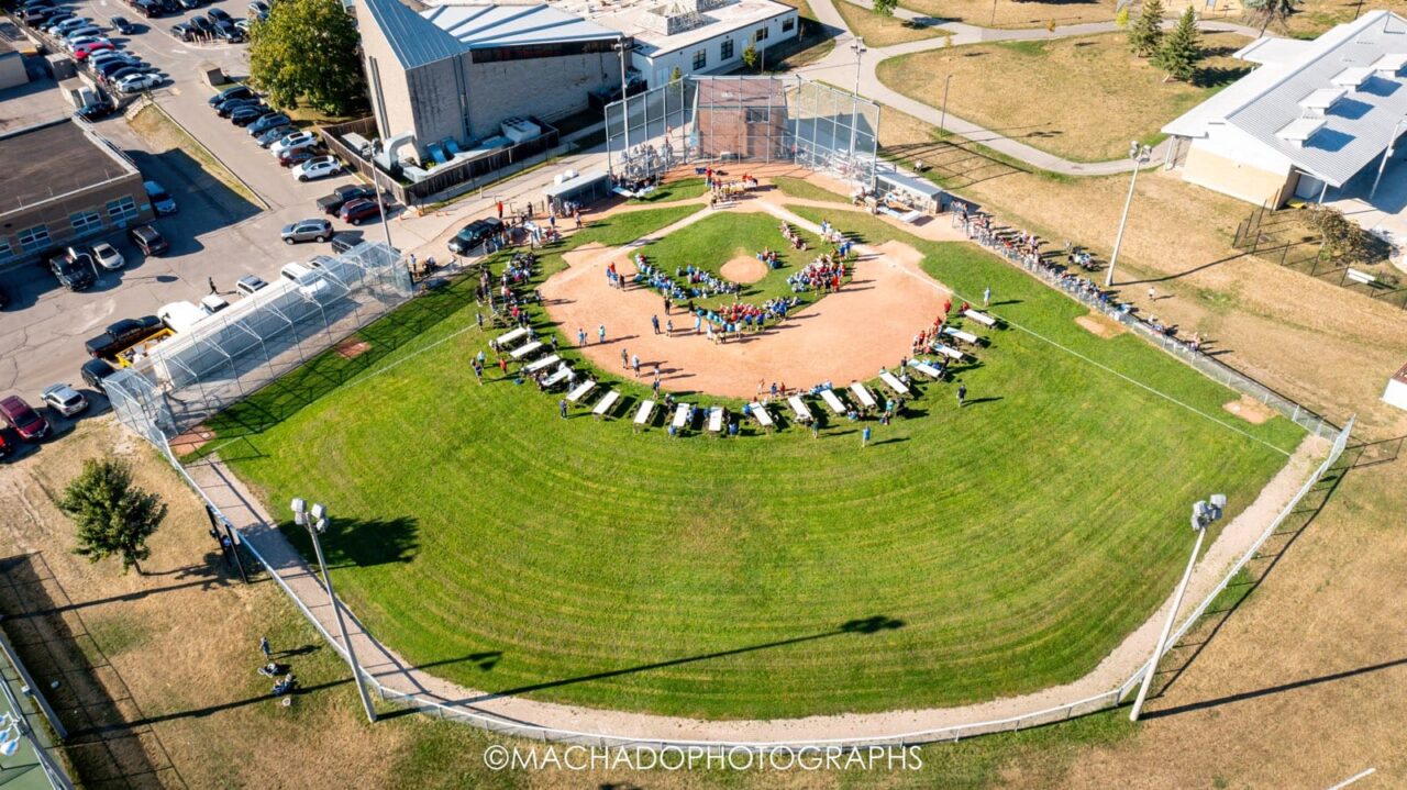 Rookie Ball | Erindale Lions Little League | Mississauga